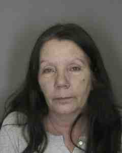 Oswego County Todaymugshot Nelson, Angela J