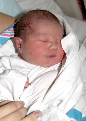 Oswego County TodayJoseph Bellomo